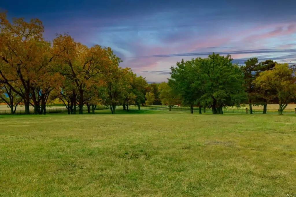 Team Members - The Grove Estate