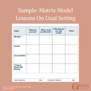 Matrix Model: Addiction Treatment Plan and Curriculum