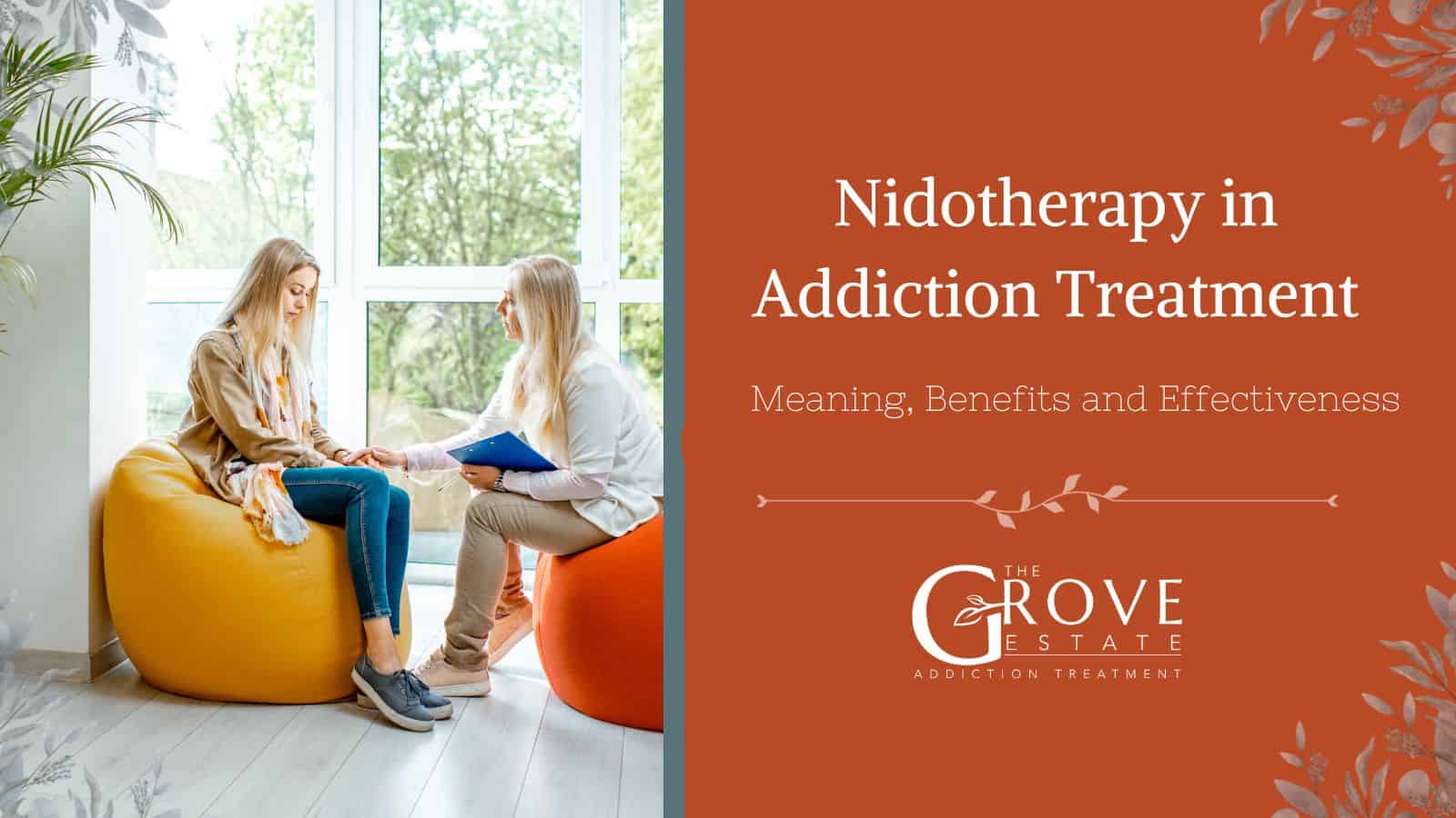 Nidotherapy in Addiction Treatment: Meaning, Benefits and Effectiveness