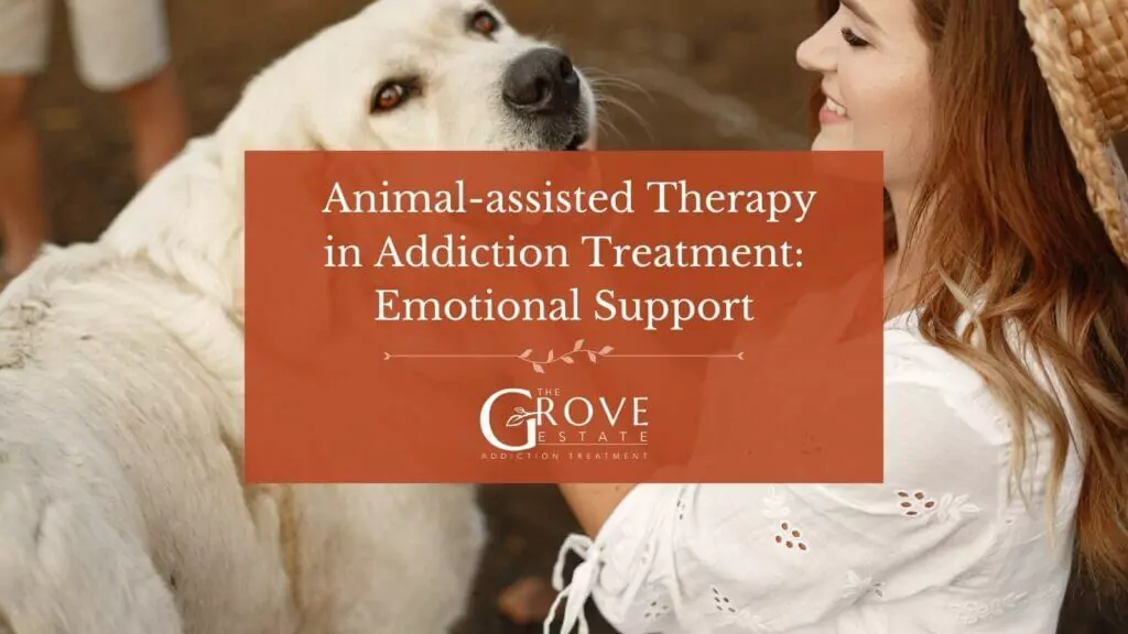Animal-assisted Therapy in Addiction Treatment: Emotional Support