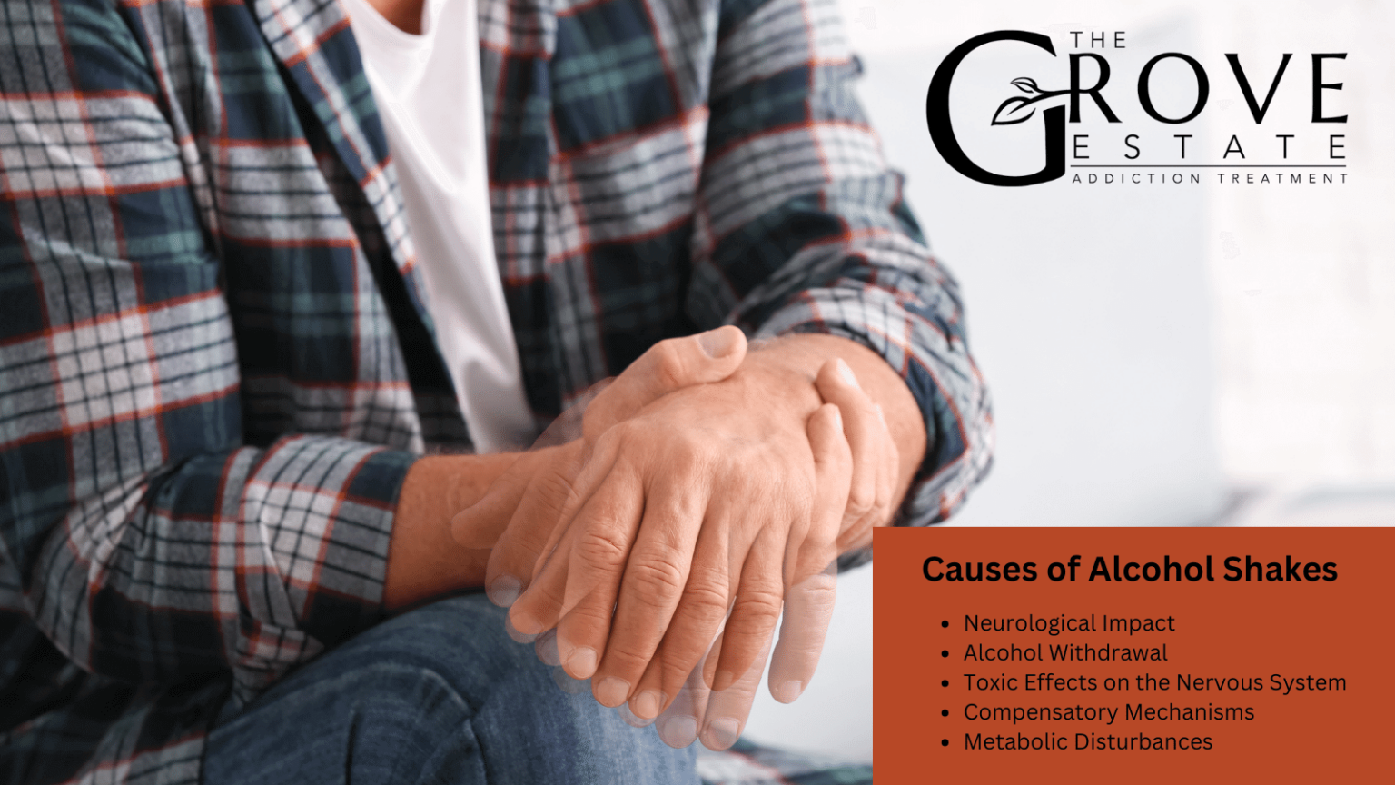 Why Alcoholics Have Uncontrolled Shakes? Causes and More