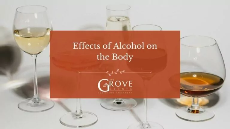 Effects of Alcohol on the Body