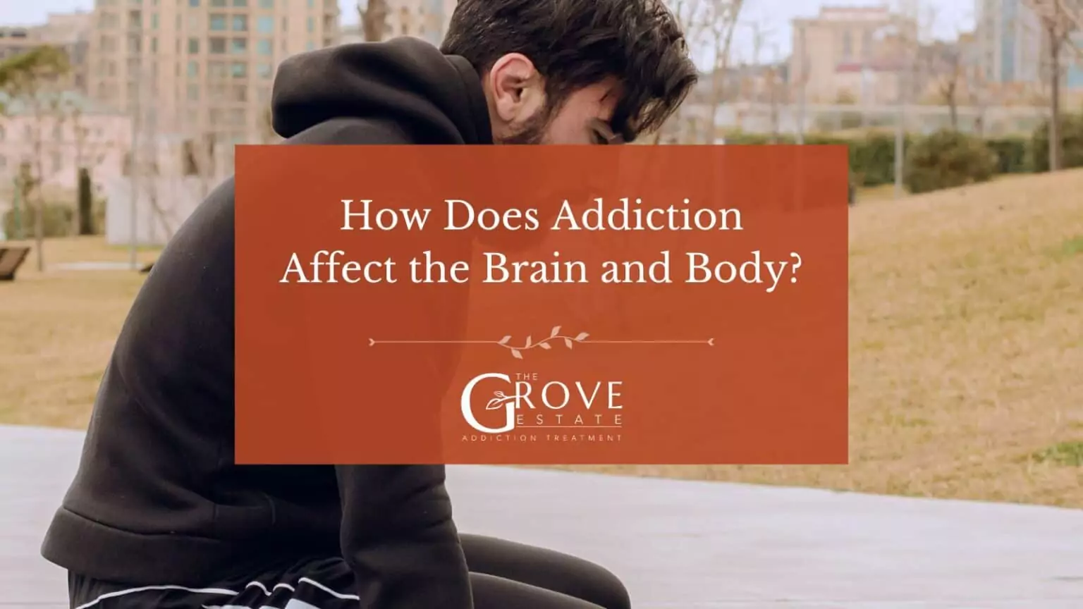 How Does Addiction Affect the Brain and Body?