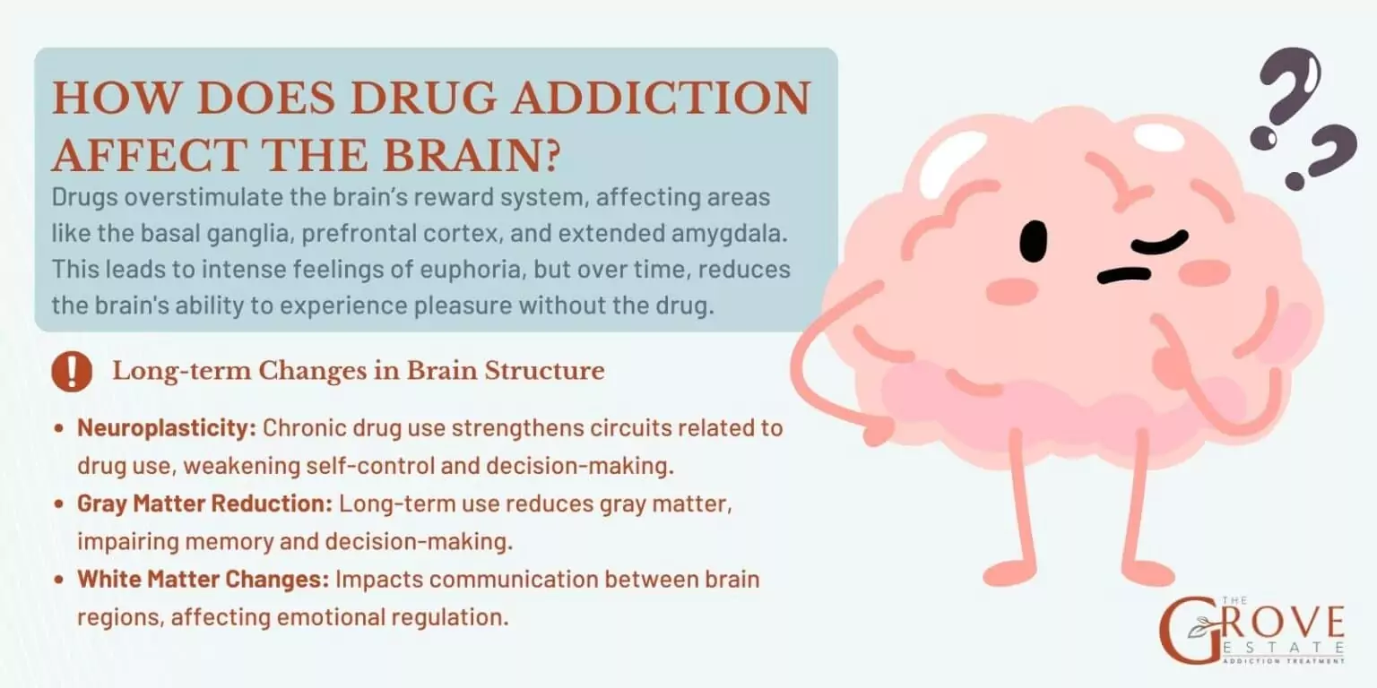 How Does Addiction Affect the Brain and Body?