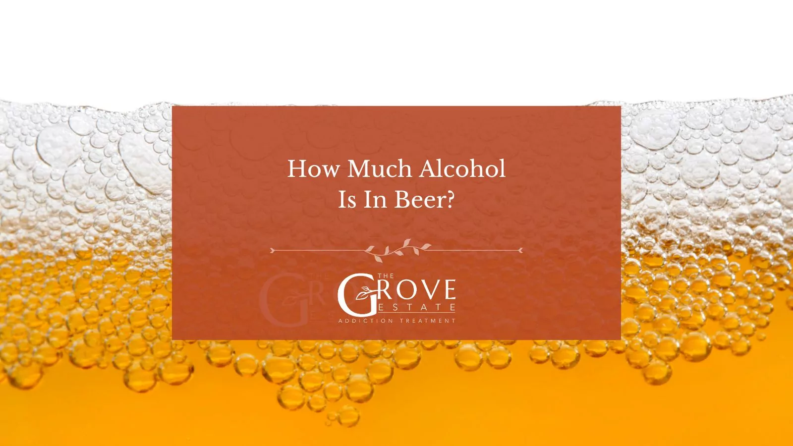 How Much Alcohol Is In Beer?