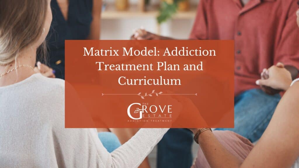 Matrix Model: Addiction & Substance Abuse Treatment Plan