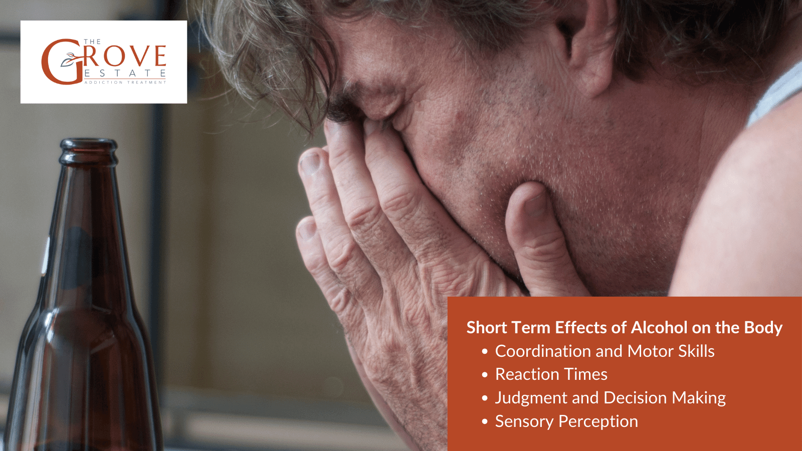 Effects of Alcohol on the Body