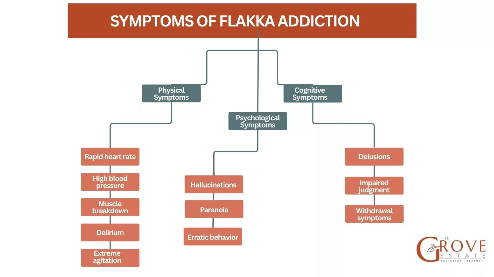 Flakka (Alpha-PVP) Addiction: Symptoms, Risk, Effect, Diagnosis and ...