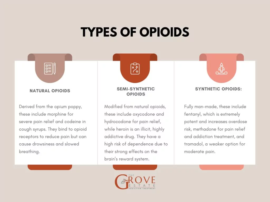 Opioids: Definition, Usage, Types, Effects, Addiction