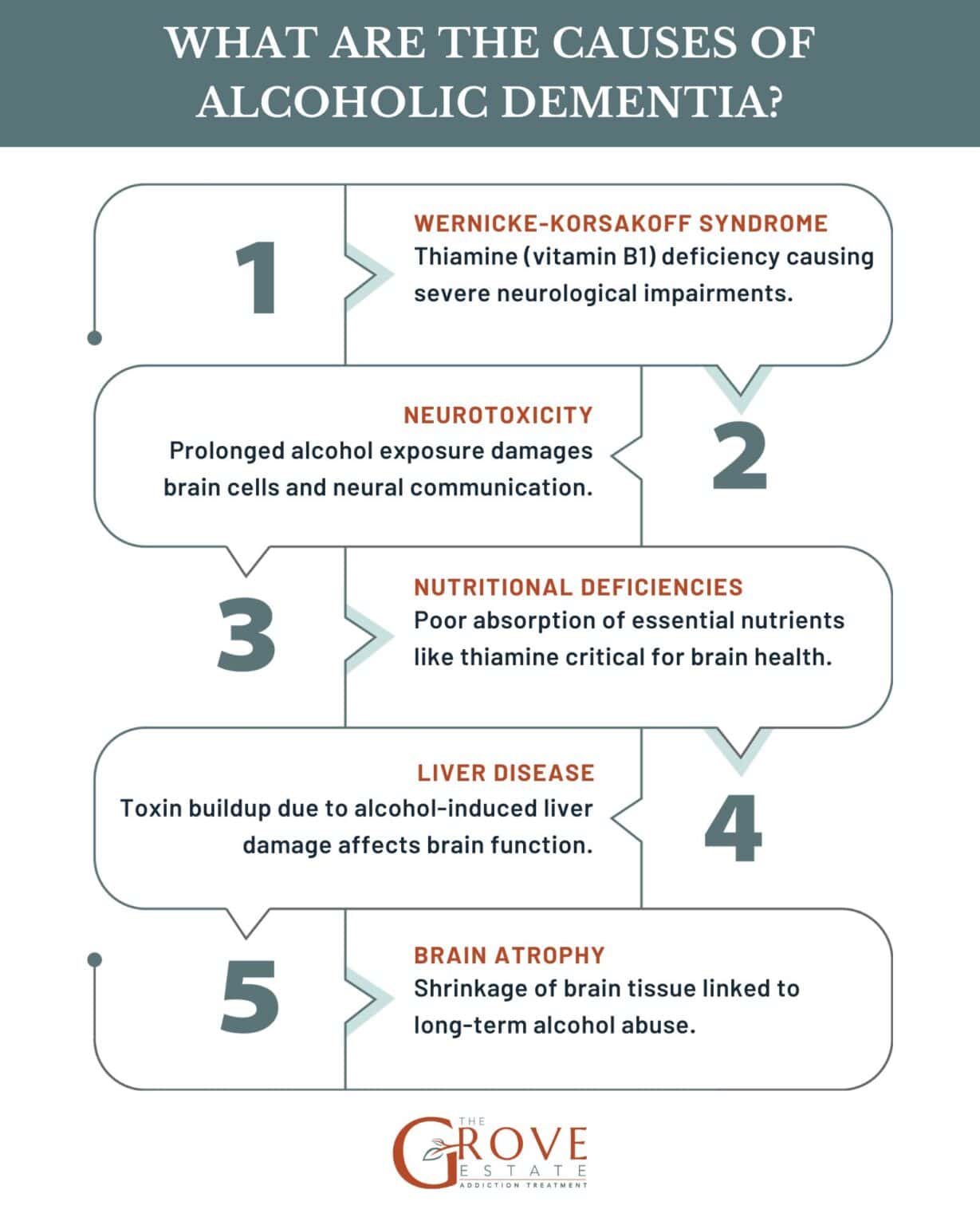 Alcoholic Dementia: Definition, Causes, Symptoms, and Treatment