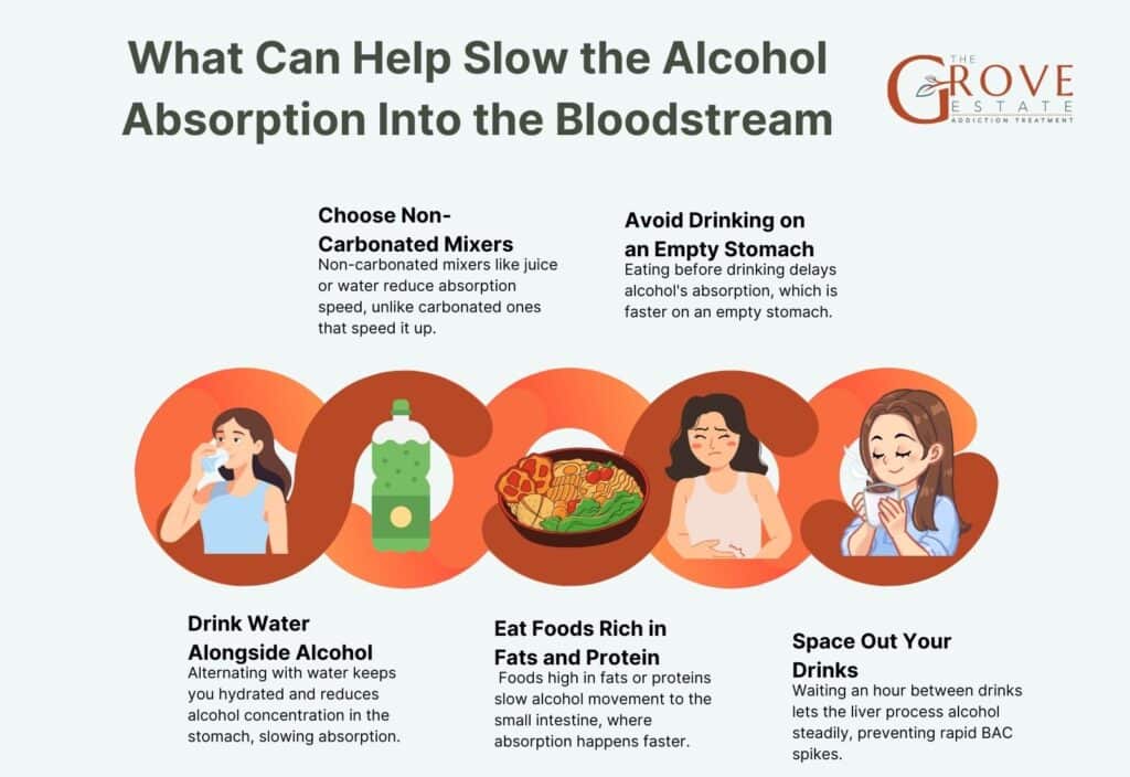 Alcohol Metabolism: Alcohol Processing Time by Drink (0.6 oz)