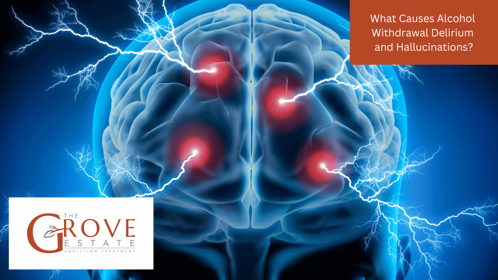 Alcohol Withdrawal Delirium: Causes, Symptoms and More