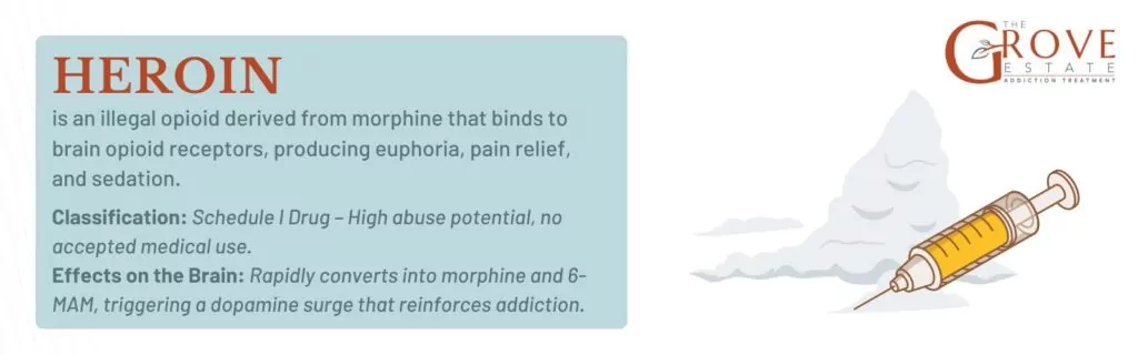 What Is Heroin? Definition, Usage, Effects, Addiction