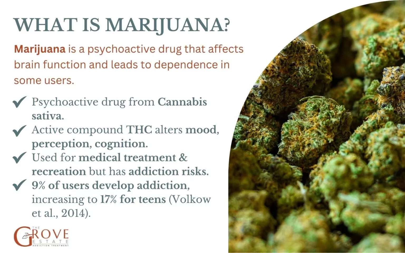 What Is Marijuana? Definition, Usage, Effects, Addiction