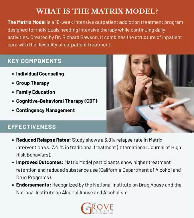 Matrix Model: Addiction & Substance Abuse Treatment Plan