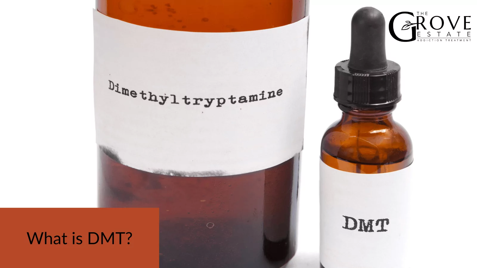 DMT Addiction: Effects and Treatment