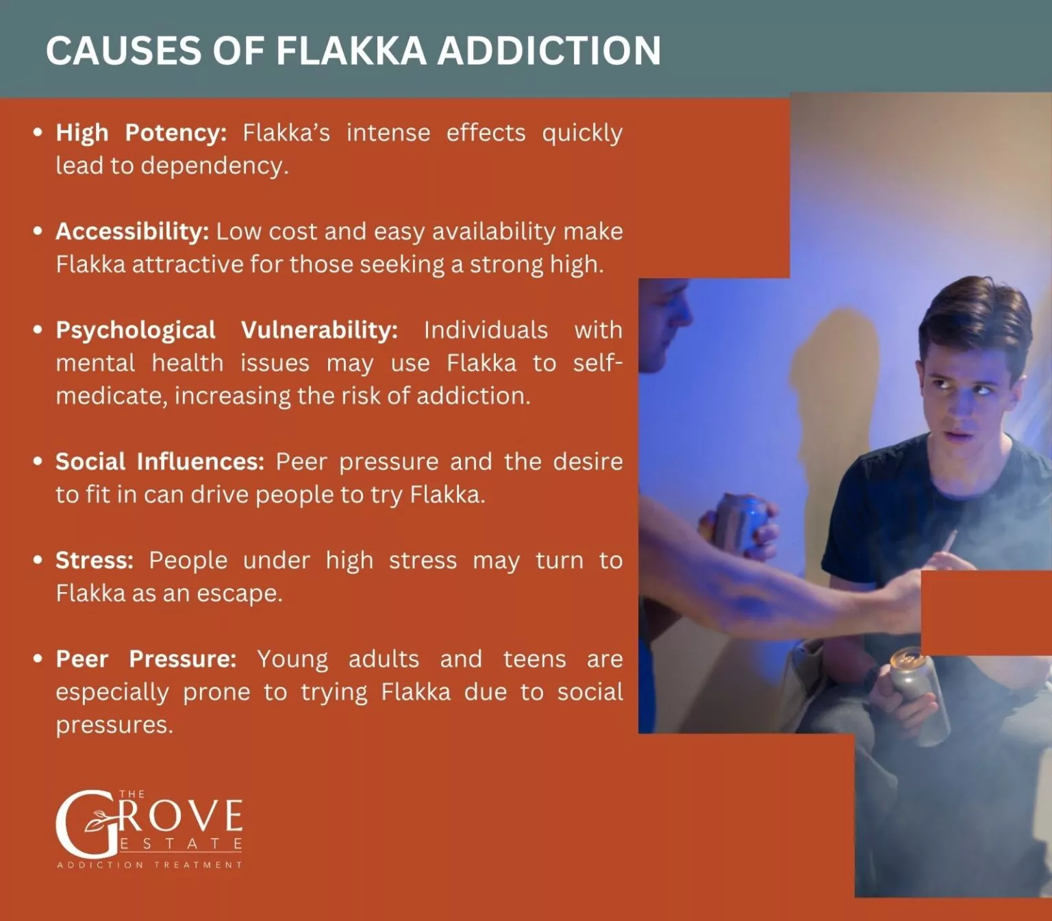 Flakka (Alpha-PVP) Addiction: Symptoms, Risk, Effect, Diagnosis and Treatment